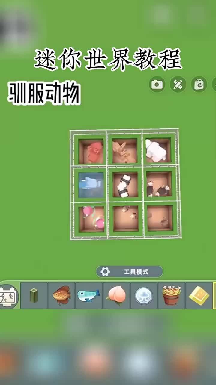 迷你世界,驯服动物教学