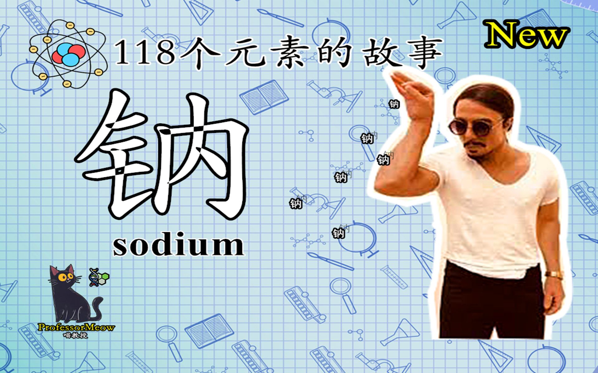 【118个元素的故事】No.11 食物灵魂的元素 钠