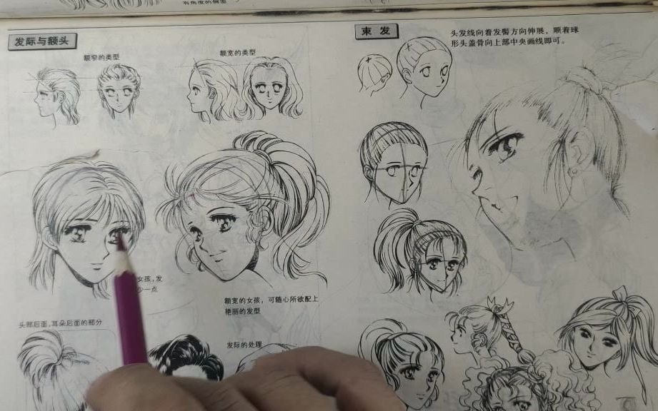 经典漫画教材解读0077 什么是发际线有什么用