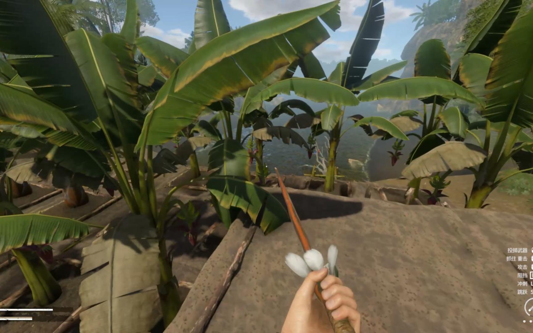 18岁,全款拿下香蕉林_单机游戏热门视频