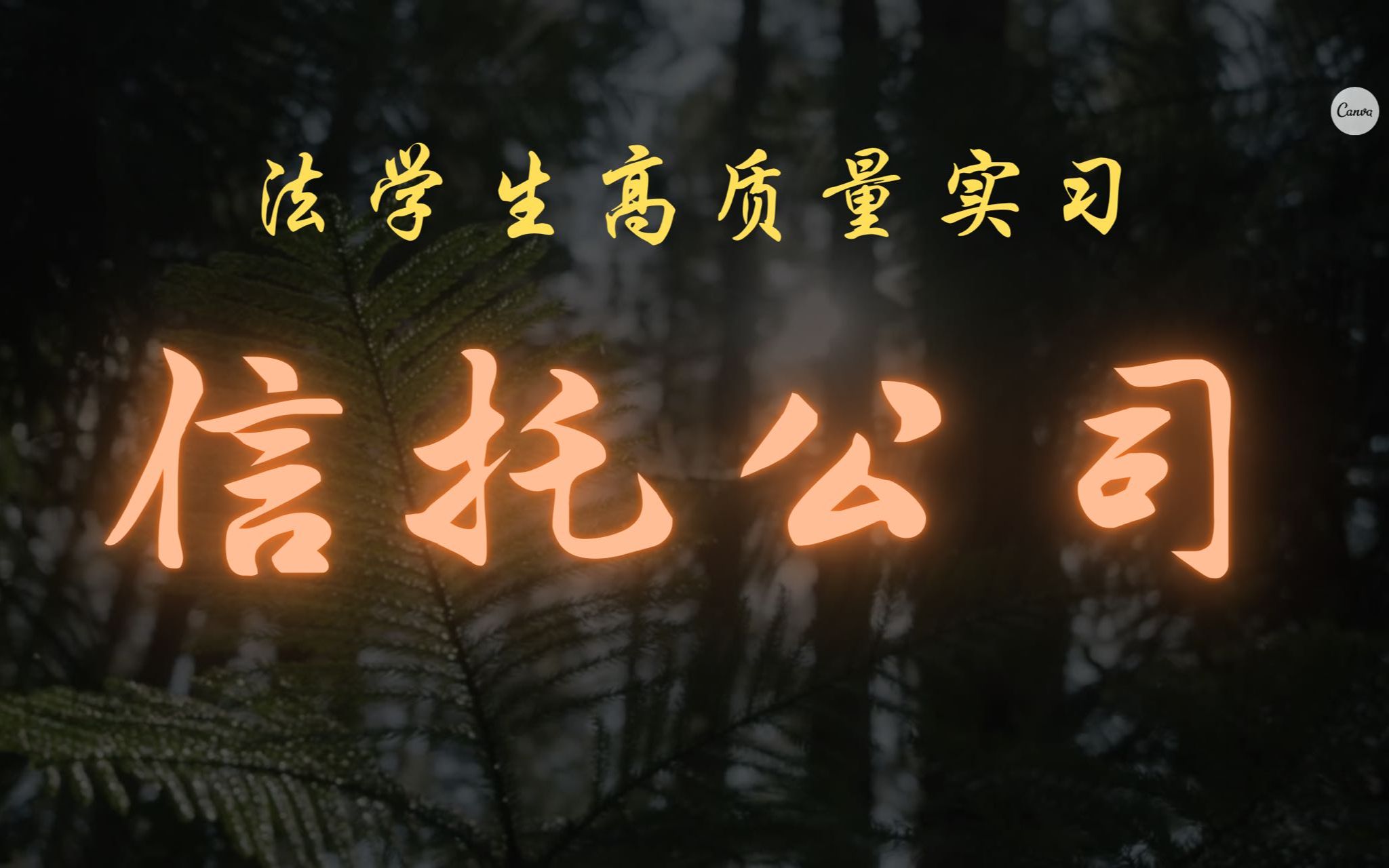 法学生高质量实习——信托公司