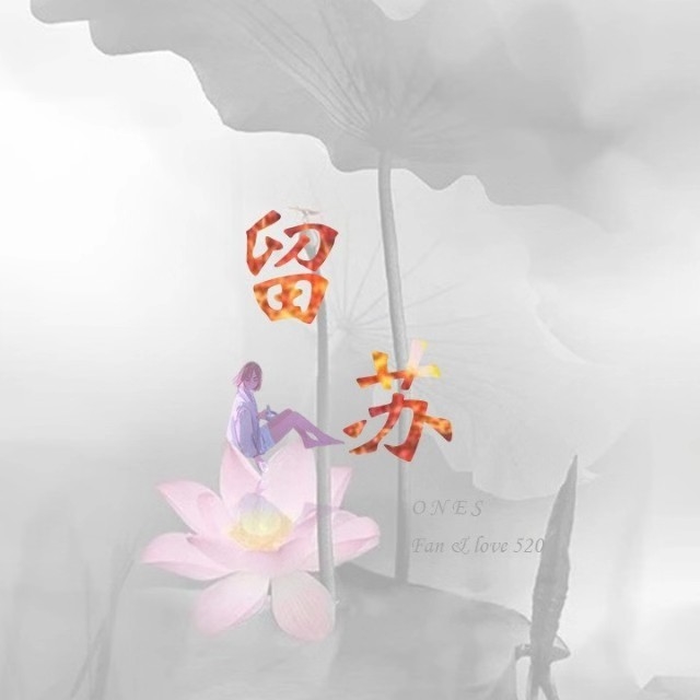 是那个留苏 
