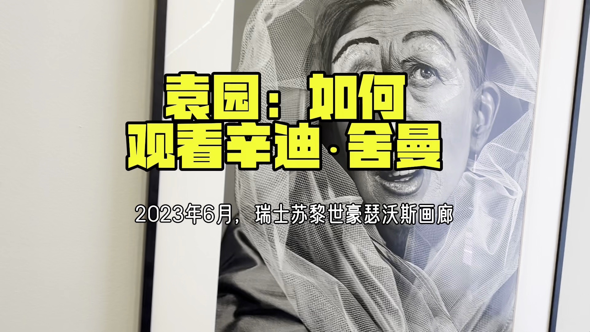 袁园:如何观看辛迪·舍曼