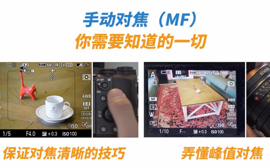 【相机技巧】微单手动对焦(MF):「原来这么拍·看得懂的说明书」第5期