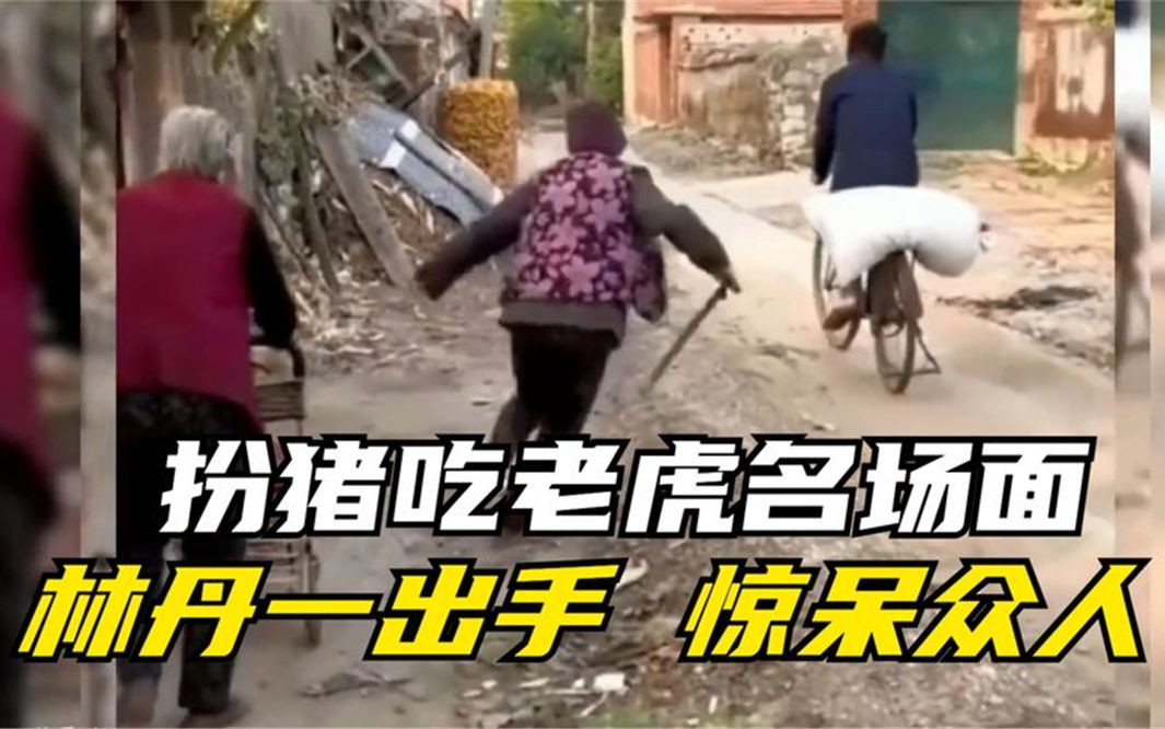 盘点那些扮猪吃老虎名场面,林丹装成路人,直接各种吊打对手!