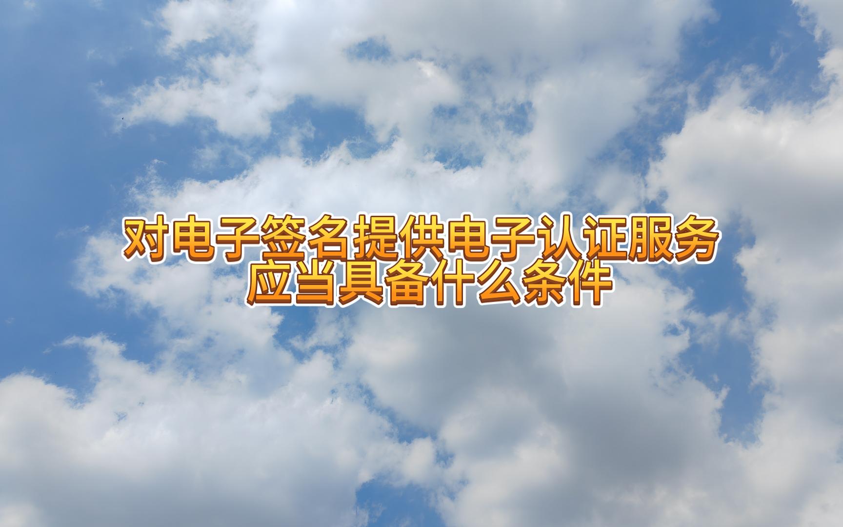 对电子签名提供电子认证服务,应当具备什么条件