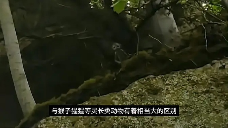 世界各地发生的无法解释的神秘事件