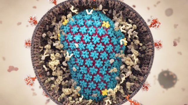 超级计算机花两年时间模拟HIV病毒动态画面