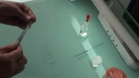 用显微镜观察番茄果肉细胞