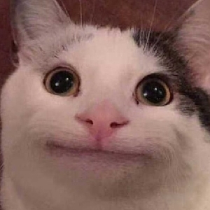 MordonFreeman 