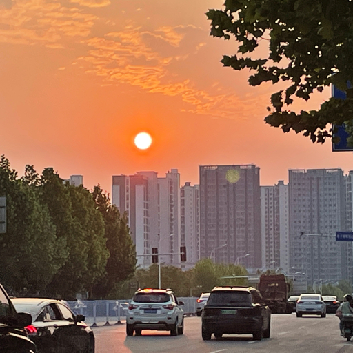 bili_67661124 