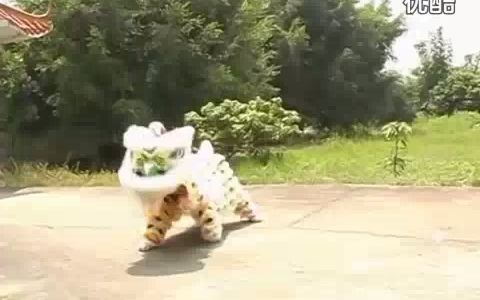 【搬运】南狮舞狮教学