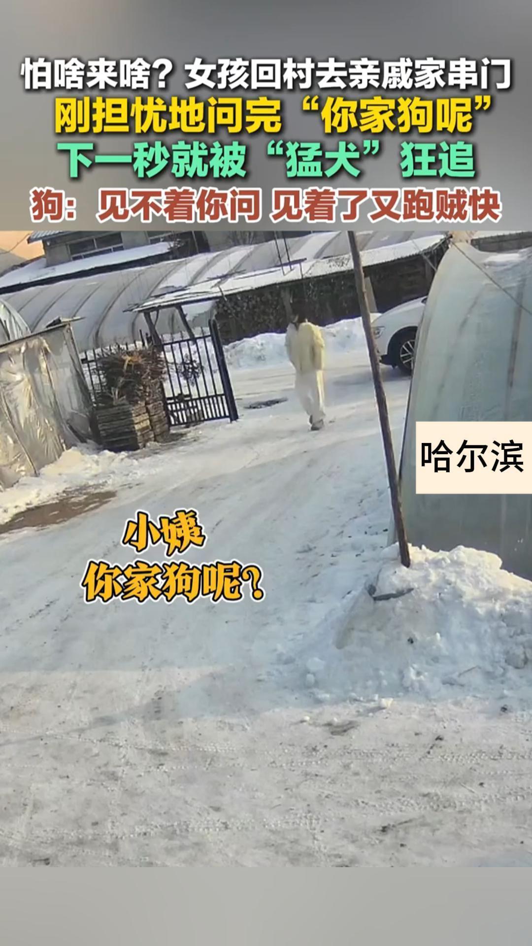 姑娘去亲戚家串门,刚担忧地问完家里的狗在哪,下一秒就被狗子狂追
