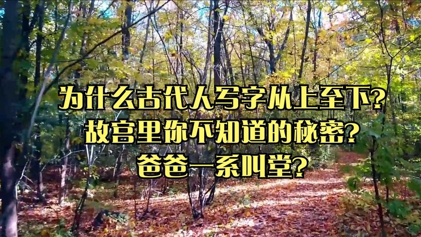 为什么古代人写字从上至下?故宫里你不知道的秘密?爸爸一系叫堂