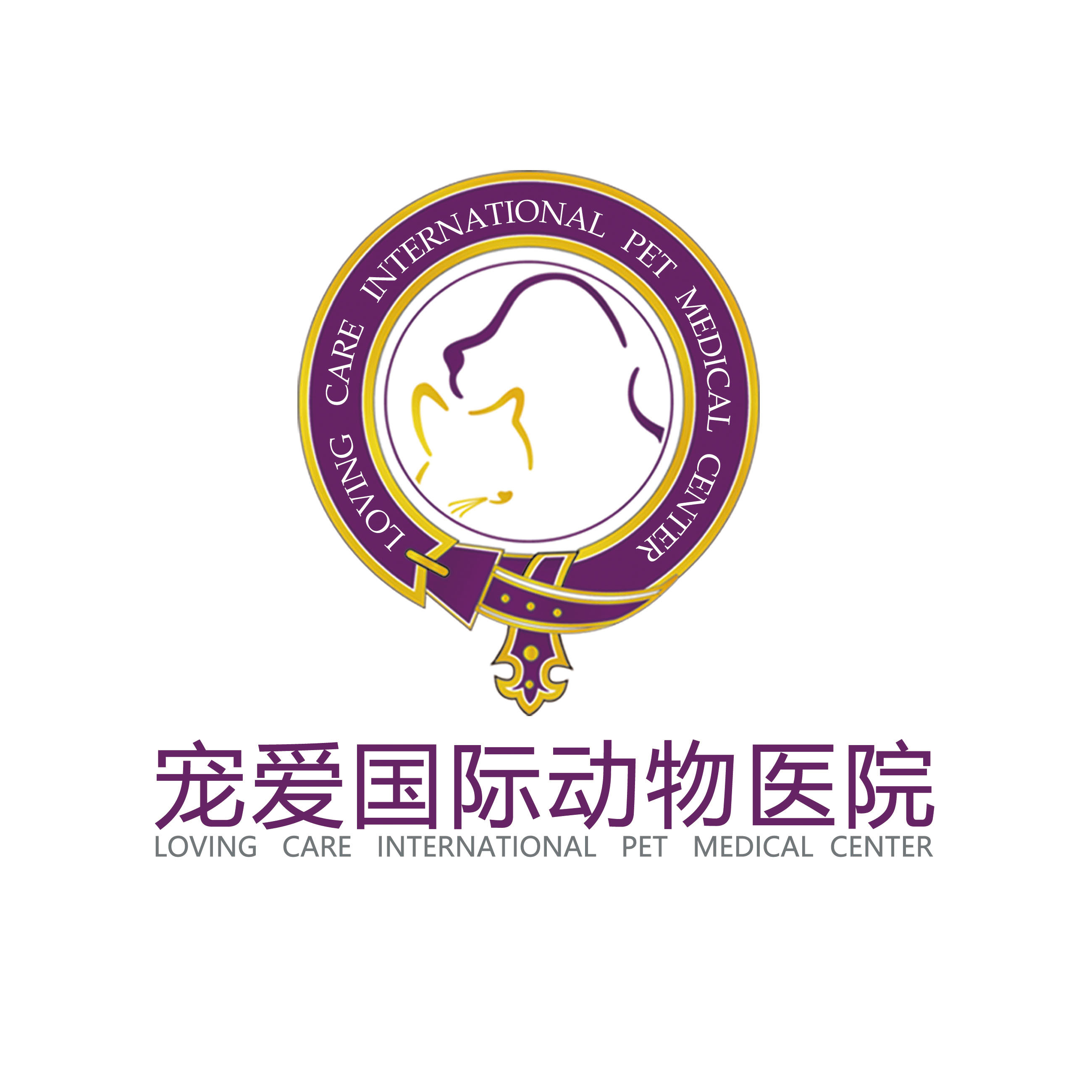 宠小爱的世界 