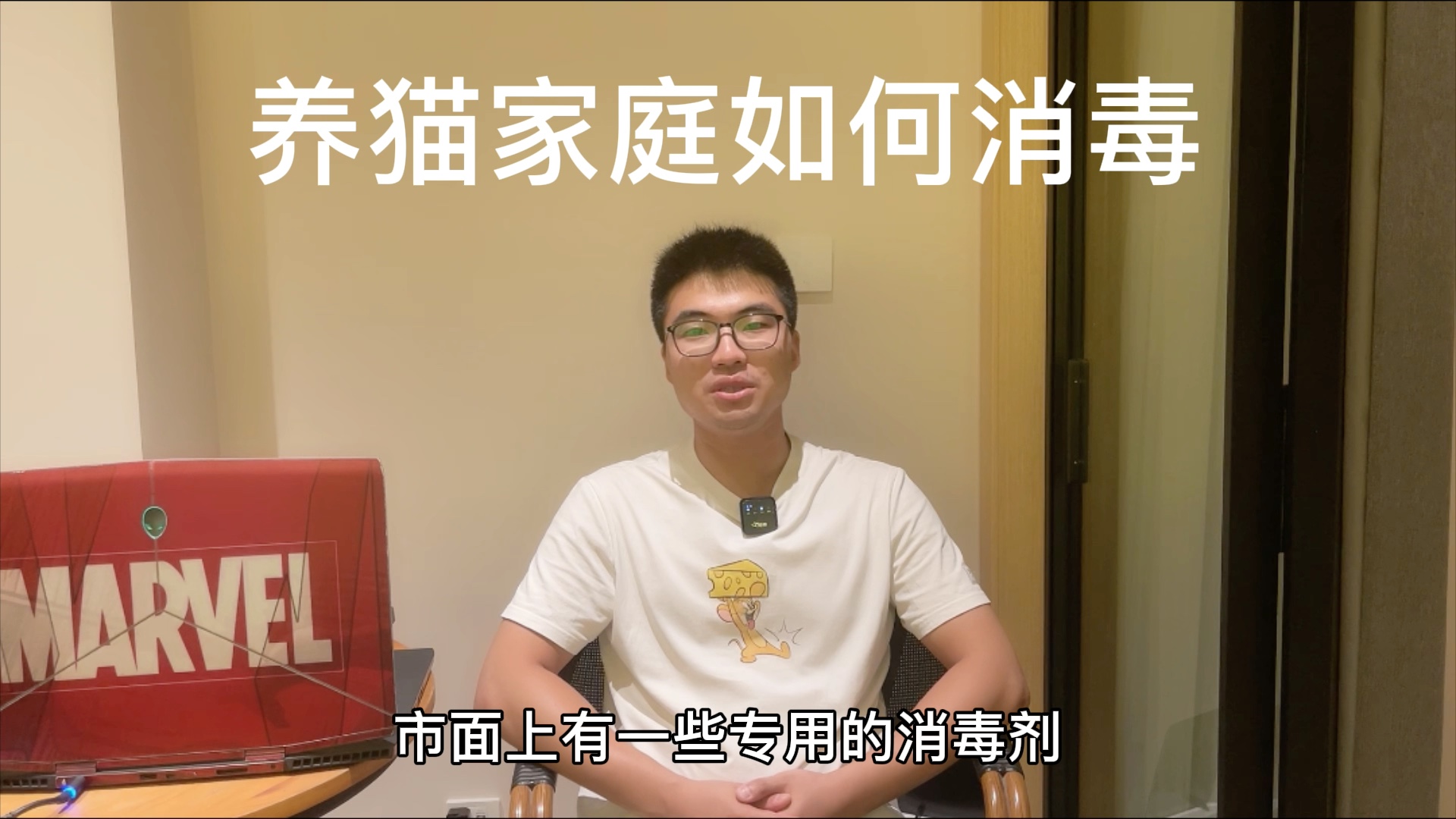 养猫家庭如何消毒