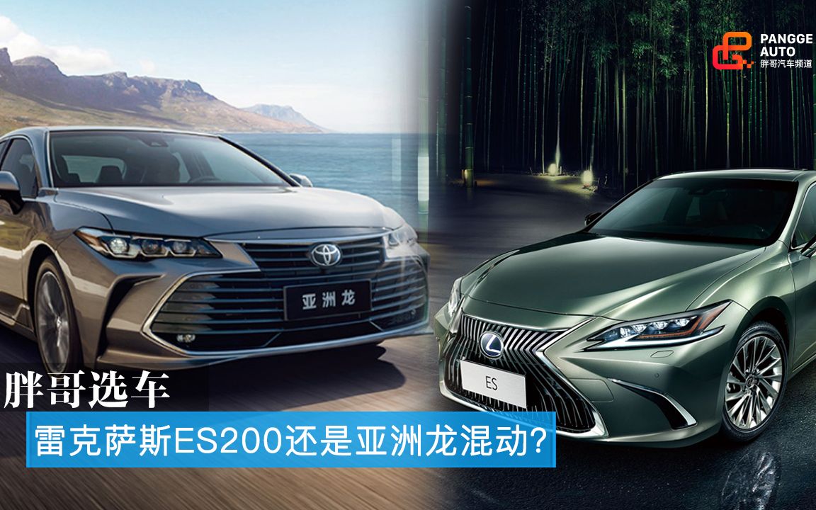 胖哥选车 选雷克萨斯ES200还是亚洲龙混动?
