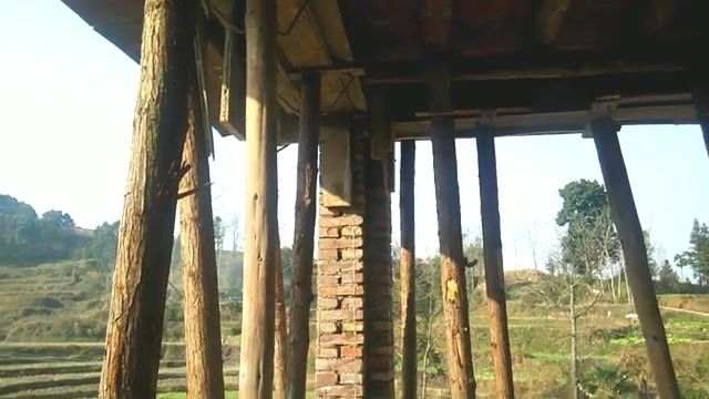 农村修房做现浇模板,几个木支柱就搞定,比钢架省事多了