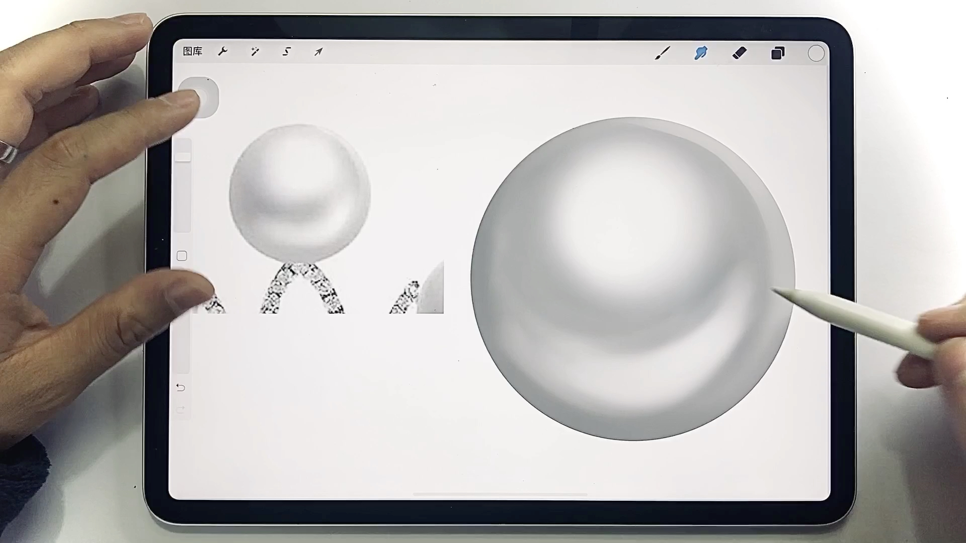 淡水珍珠/珠宝手绘