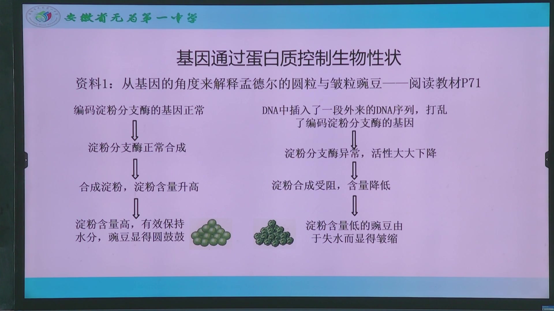 基因表达与性状的关系