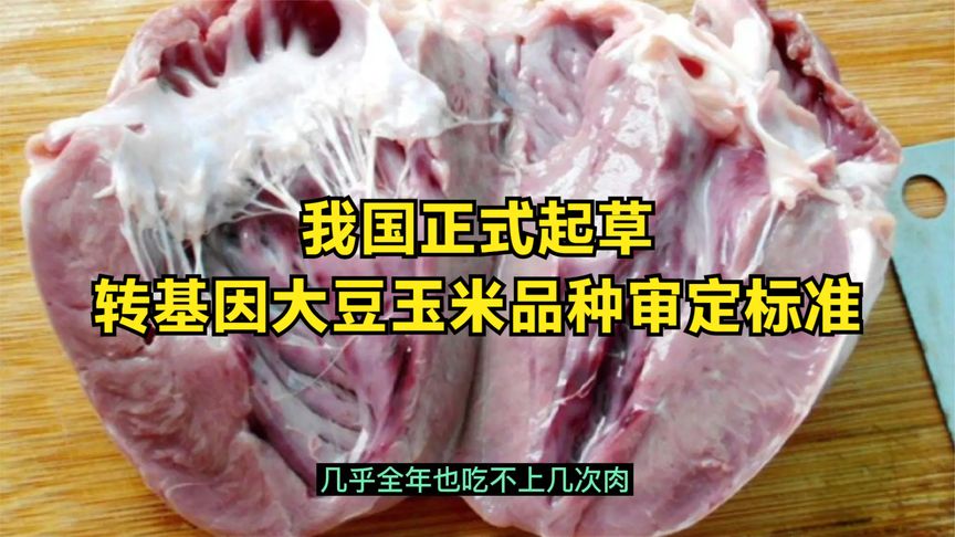 提高粮食产能,我国开始起草转基因大豆玉米品种审定标准