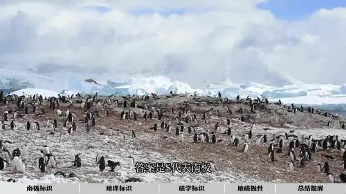 北极还是南极?揭秘地球两极的惊人差异!