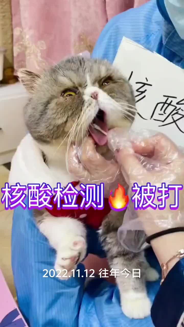 #宠物医院的日常 #宠物医院的那些事