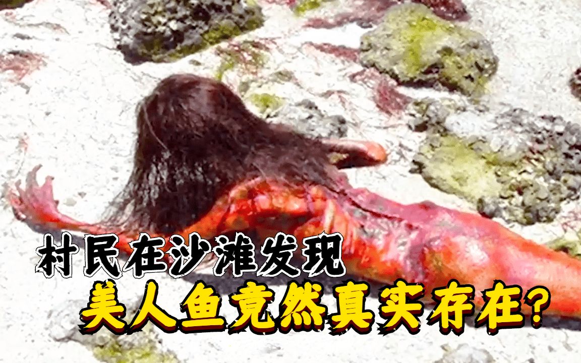 7种全世界最诡异的生物!神话中的动物真的存在!令人毛骨悚然