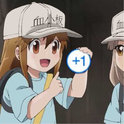 施翻译官 