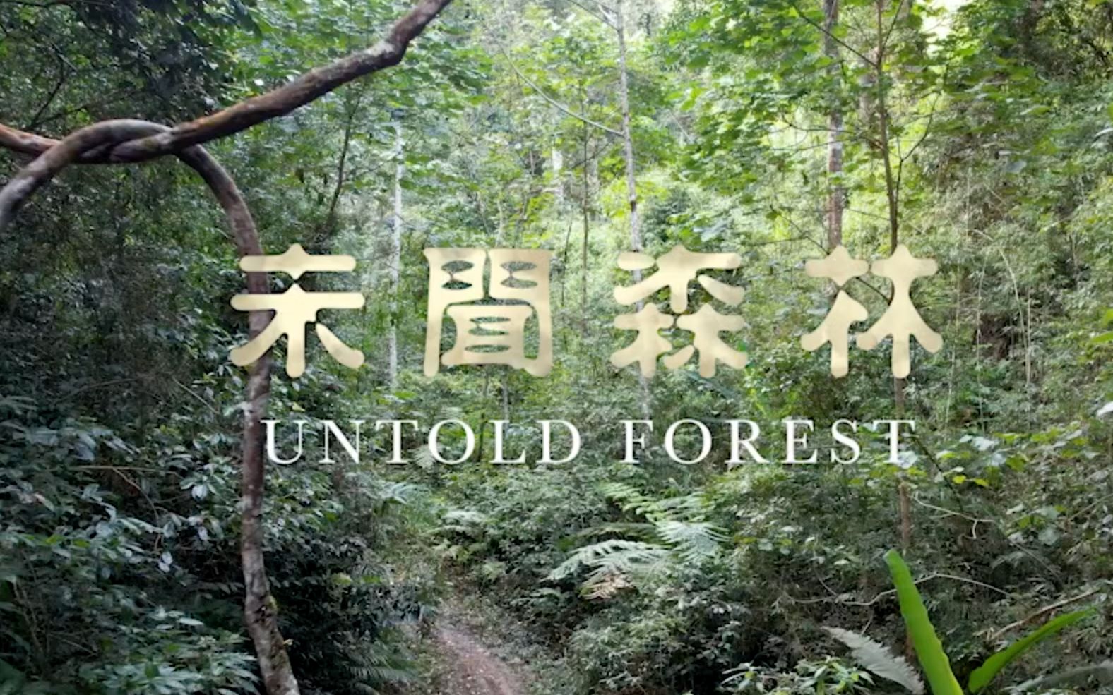 《未闻森林》Untold Forest - 第一集