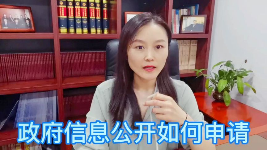 信息公开申请表如何填写,自己也可以进行政府信息公开