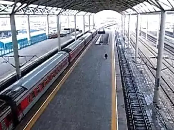 昆明—长春K2285次列车石家庄站出站视频