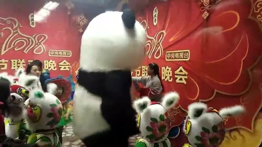 春晚早知道,一群大熊猫在节目现场!