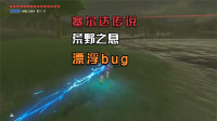 抱着遥控炸弹起飞?《塞尔达传说:荒野之息》玩家发现了新bug