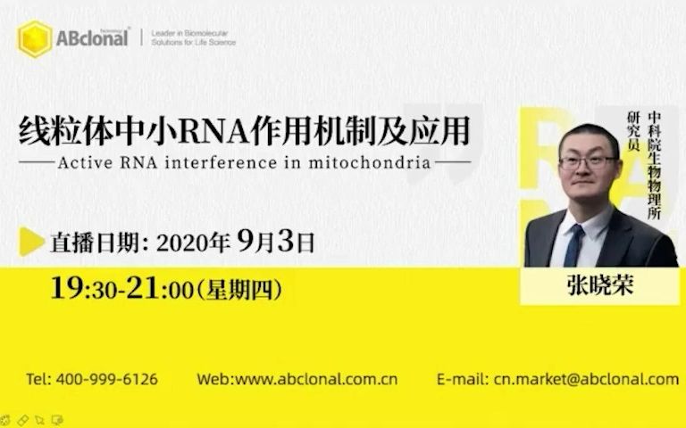 研究员张晓荣详解线粒体中小RNA作用机制及应用