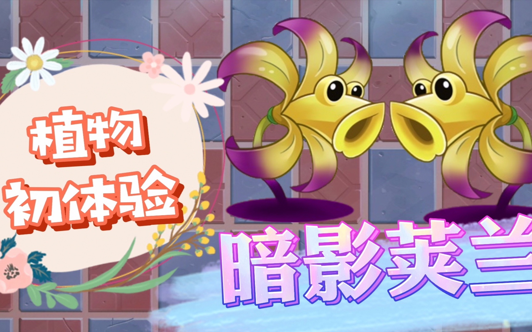 【攻略】(内有免费暗影荚兰)暗影荚兰,百因必有果,你的报应就是我