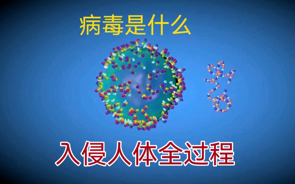 病毒是什么?侵害人体全过程。
