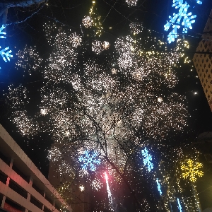 知晓小震cyz 
