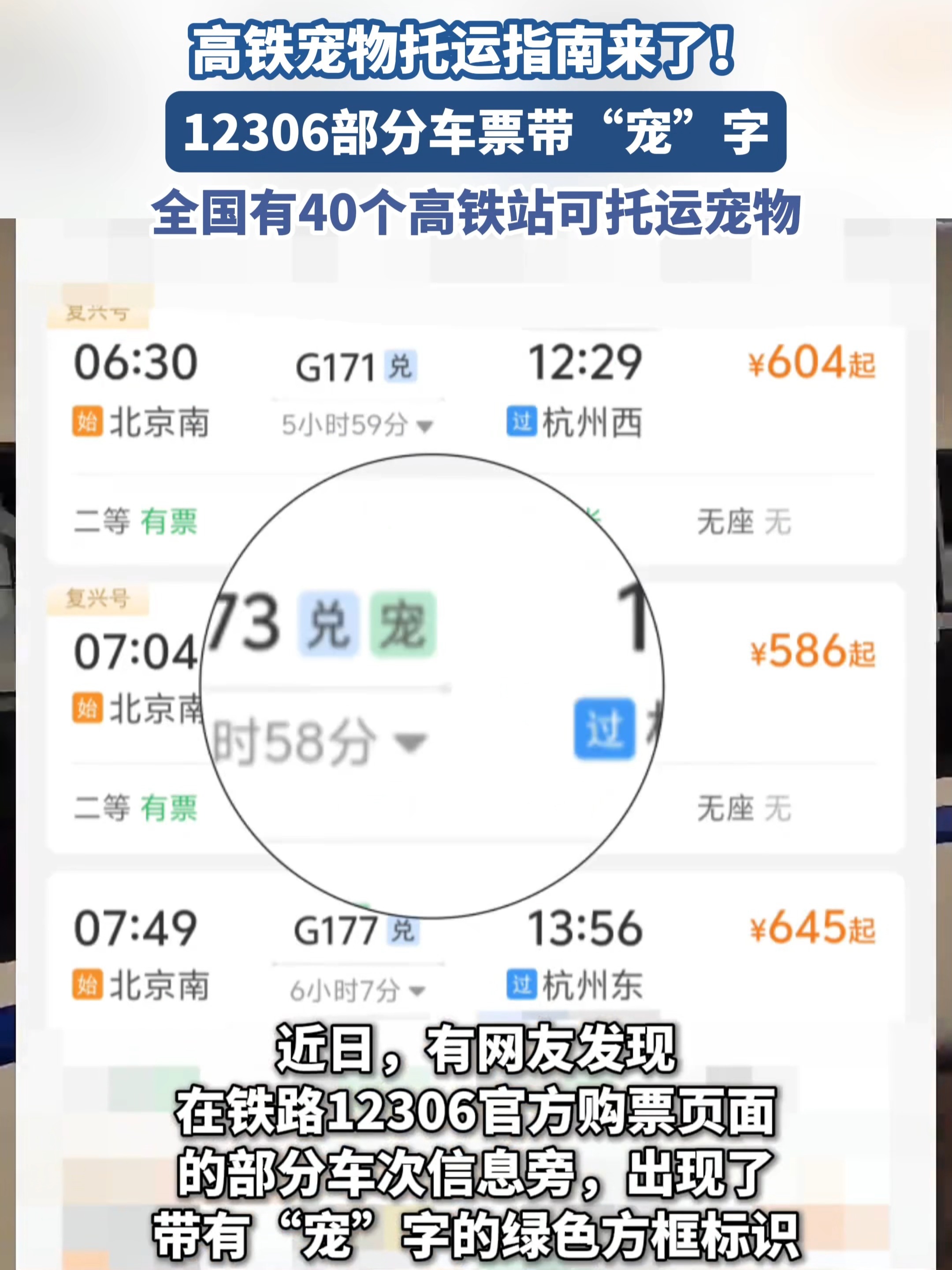 高铁宠物托运指南来了!12306部分车票带"宠"字