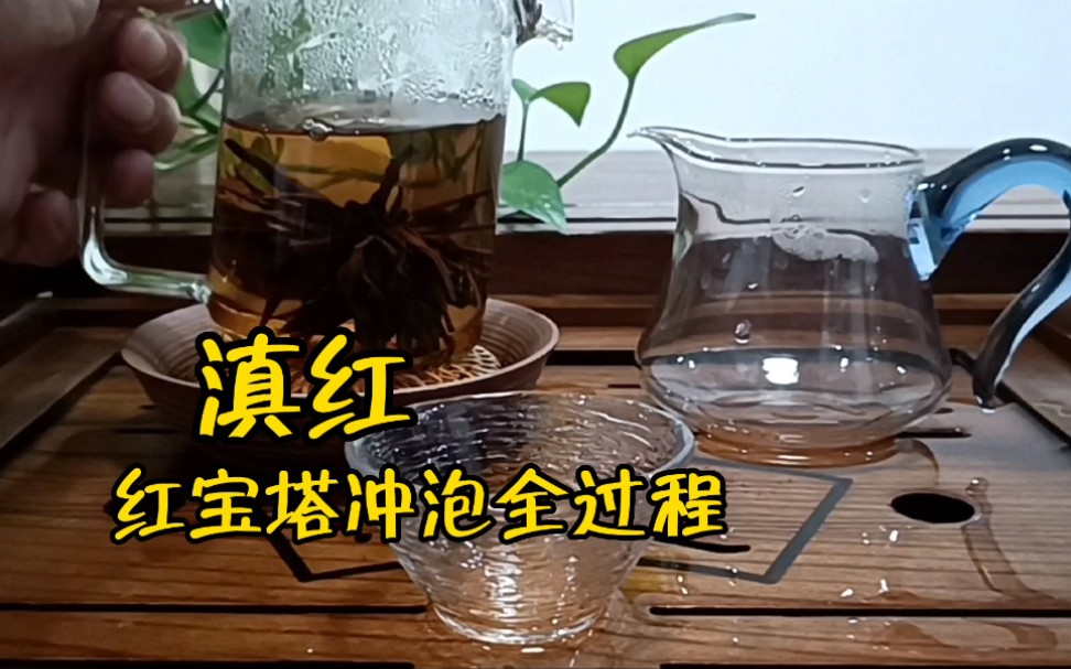 滇红中的红宝塔冲泡全过程,请关注更多喝茶的故事