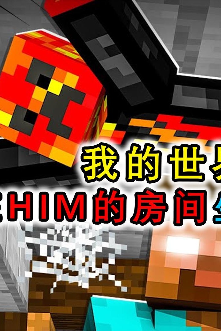 我的世界:盘点国外大神挑战HIM家生存一百天,各种恶搞HIM
