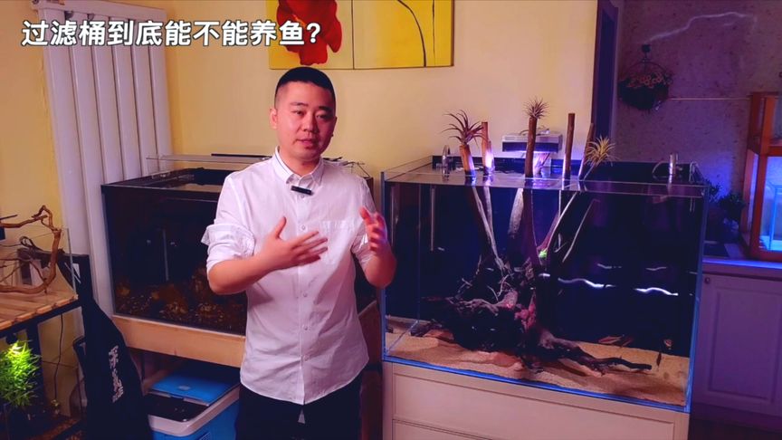 用过滤桶养鱼真的不行吗?