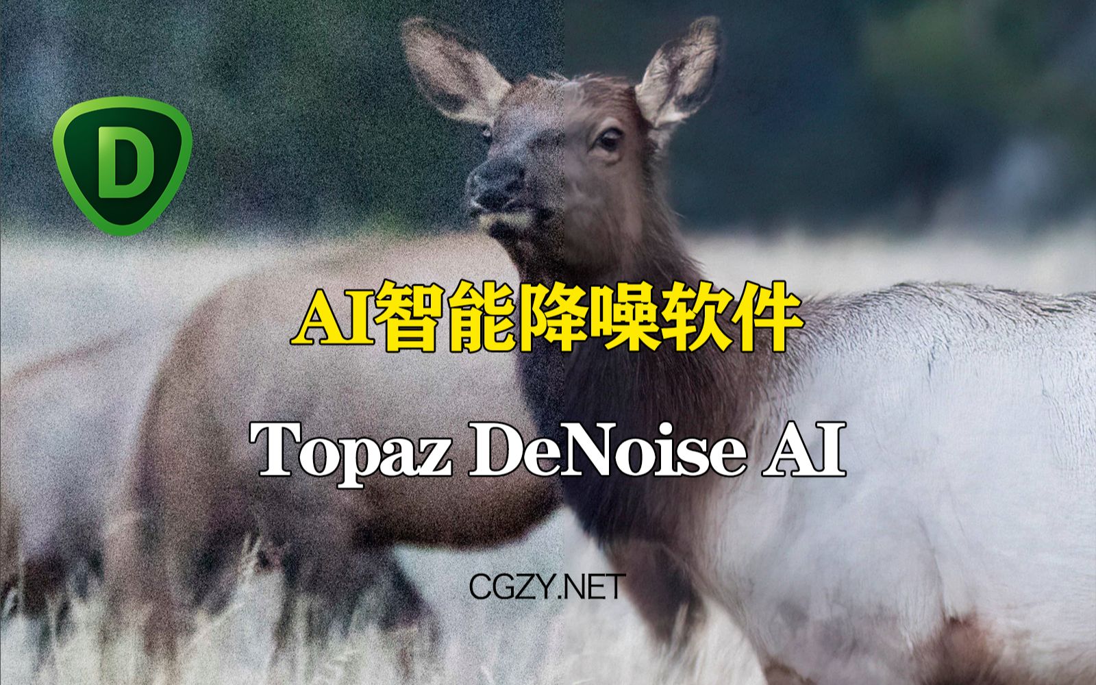 人工智能降噪插件-Topaz DeNoise AI软件