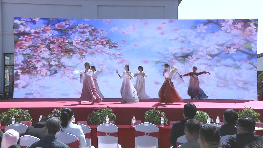 牡丹区首届农民电商节暨“云销牡丹”直播活动文艺汇演:广寒宫