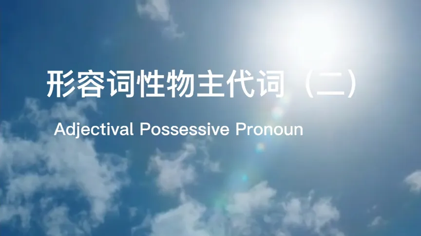 形容词性物主代词(二)