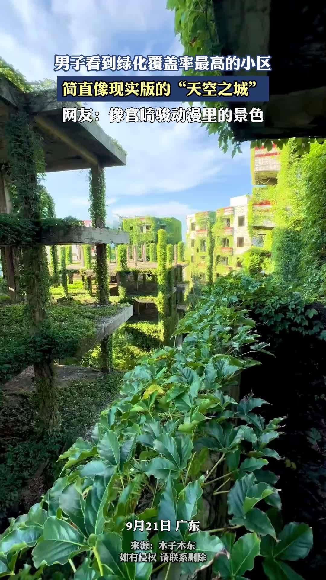 男子看到绿化覆盖率最高的小区,简直像现实版的"天空之城"。