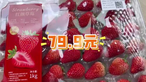 139元vs79元草莓生死战!天价草莓惨遭滑铁卢?