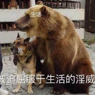 牛粪上的一朵奇葩 