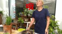现学现卖之炒咖啡豆