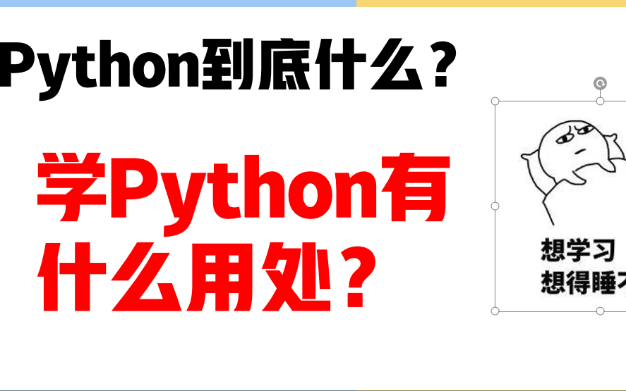 Python到底是什么?学会能做些什么?